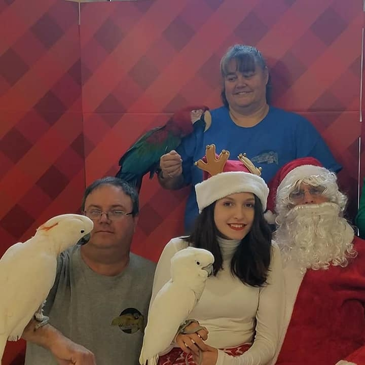 Heart and Soul ⯈ Parrot Rescue